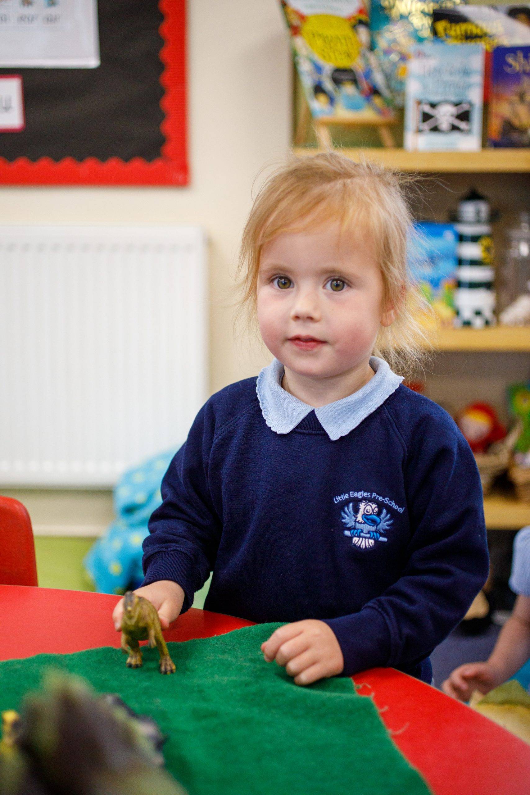 Little Eagle - Eagle Primary School
